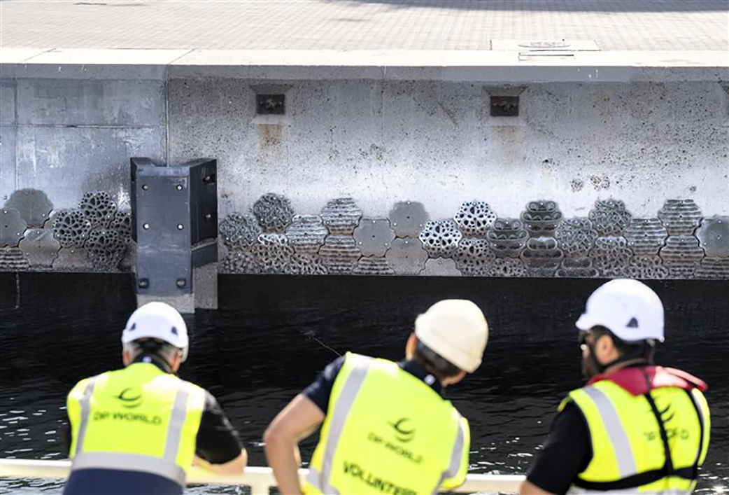 DP World installs first 1,000 living seawalls panels at Jebel Ali Port