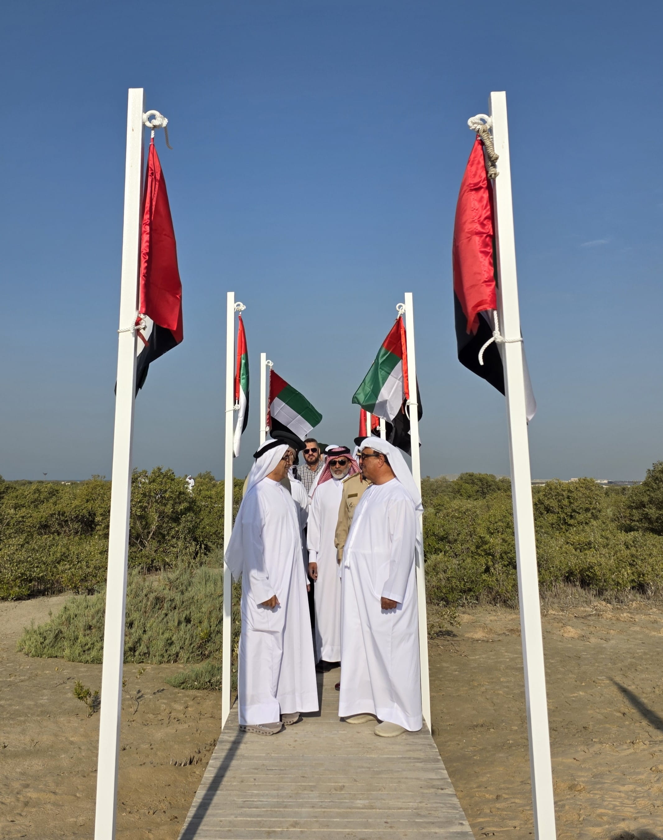 Dubai Environment and Climate Change Authority Launches Mangrove ...